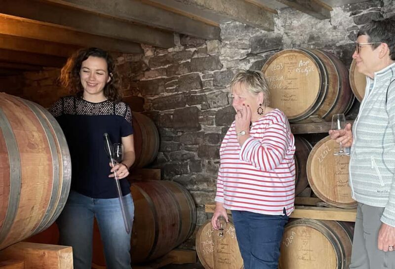 Montpellier : Wine Tour Pic St Loup - Who Will Love This Tour?