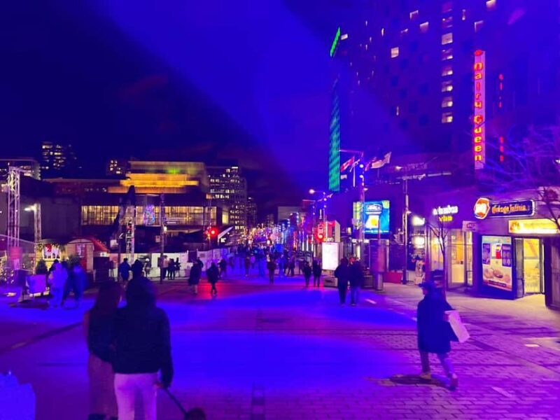 Montreal: Christmas Lights Private Walking Tour - Why Travelers Love This Tour