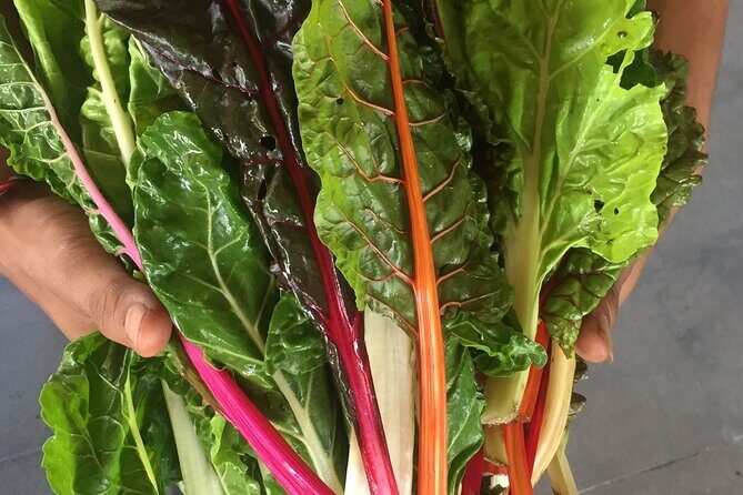 Montreal Cooking Class and Wine with Michelin-Star Trained Chef - Who Will Love This Experience?