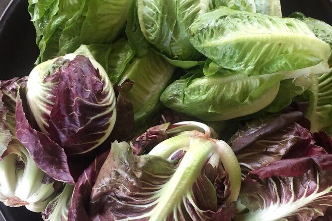 Montreal Food Tour with a Michelin Star-Trained Chef - Who Would Love This Experience?