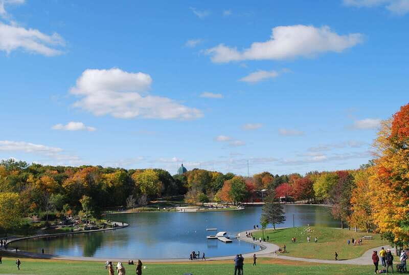 Montreal: Full-Day Small Group City Tour - An Introduction to the Tour Experience