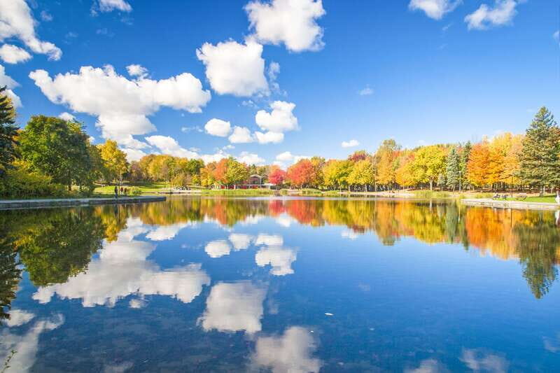 Montreal: Guided Bus Tour - What to Expect on the Montreal Guided Bus Tour