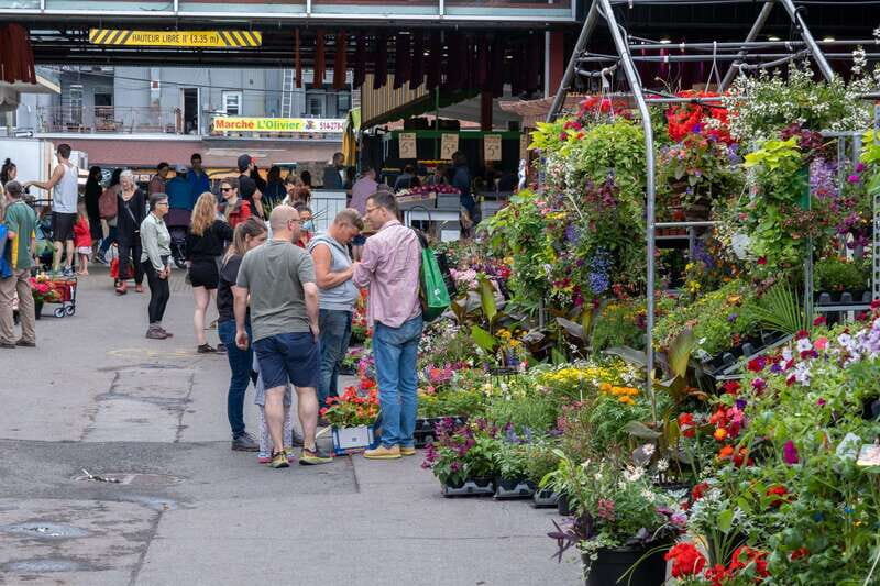 Montreal: Jean-Talon Market & Little Italy Highlights Tour - Who Should Consider This Tour?
