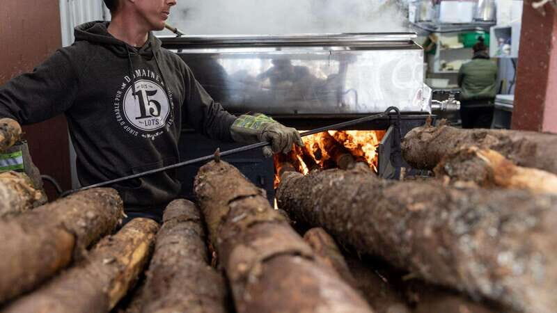 Montréal: Maple Syrup Tasting Conference! - The Sum Up