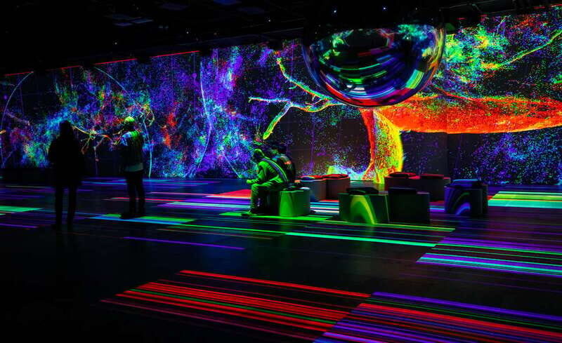 Montreal: OASIS Immersion Entry Ticket - Key Points