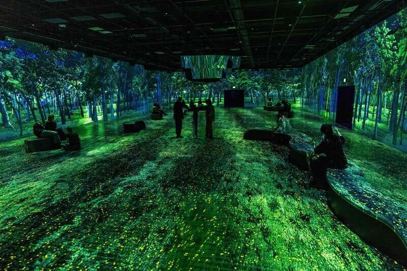 Montreal: OASIS Immersion Entry Ticket - Who Should Consider Visiting?