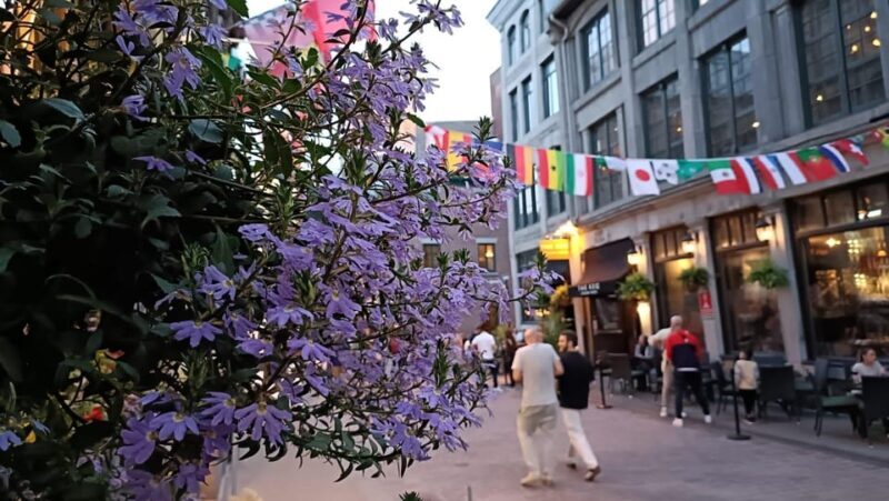 Montreal: Old Montreal at Twilight Walking Tour - What the Tour Includes & Excludes