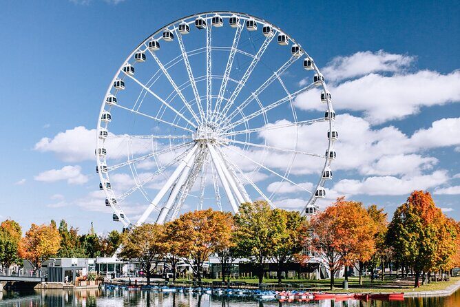 Montréal Scavenger Hunt and City Highlights Walking Tour - Potential Drawbacks