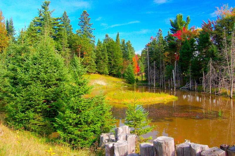 Montreal: Skip-the-line Biodome Private Tour with Tickets - FAQ