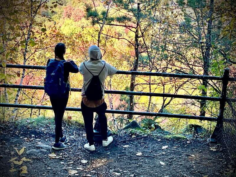 Montreal's Mount Royal Tour - What to Expect During the Walk