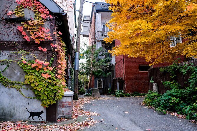Montreal's Plateau Mont-Royal and Mile End Tour by MTL Detours - Practical Info & Considerations