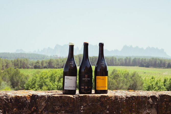 Montserrat & Boutique Winery with Catalan Brunch | Private Tour - Key Points