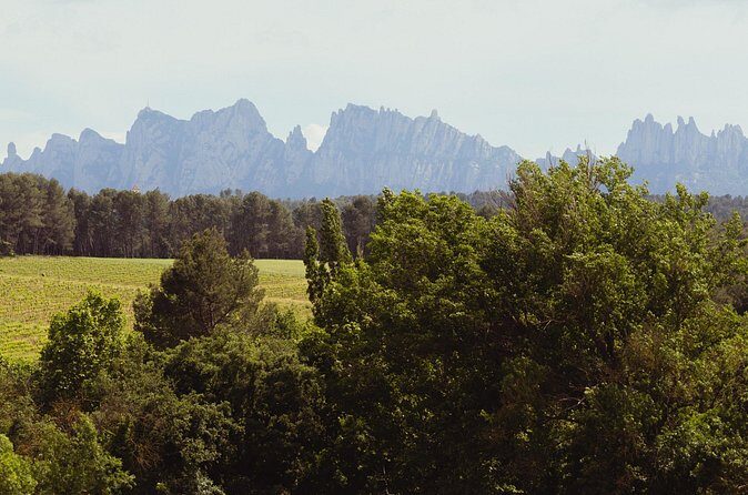 Montserrat & Boutique Winery with Catalan Brunch | Private Tour - FAQs
