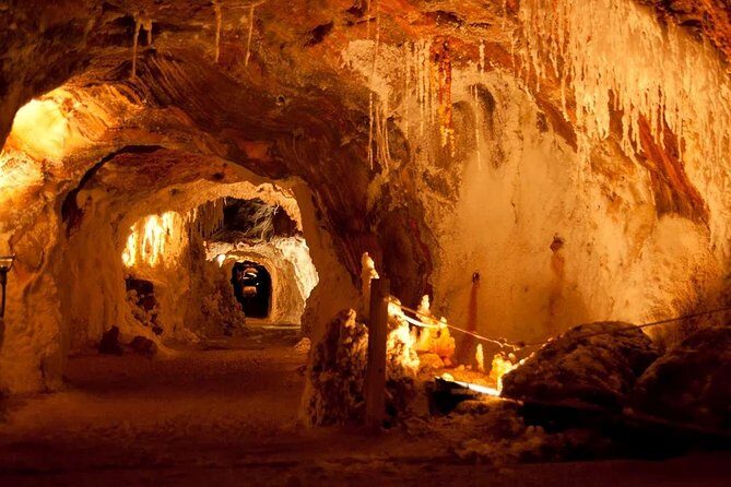 Montserrat, Cardona and Salt Mountain Small Group Tour - Who Is This Tour Best For?