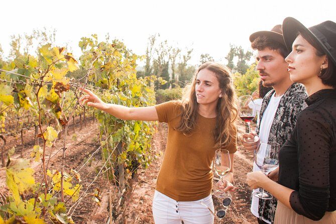 Montserrat & Cogwheel Train, Gourmet Wine Tasting & Tapas/Lunch - The Optional Winery & Wine Tasting Experience
