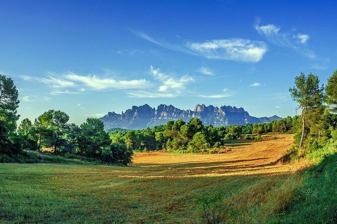 Montserrat Monastery Small Group or Private Tour Hotel pick-up - Exploring the Itinerary in Detail