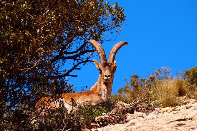Montserrat Monastery with Easy Hike & Sitges Tour from Barcelona - Practical Tips & Considerations