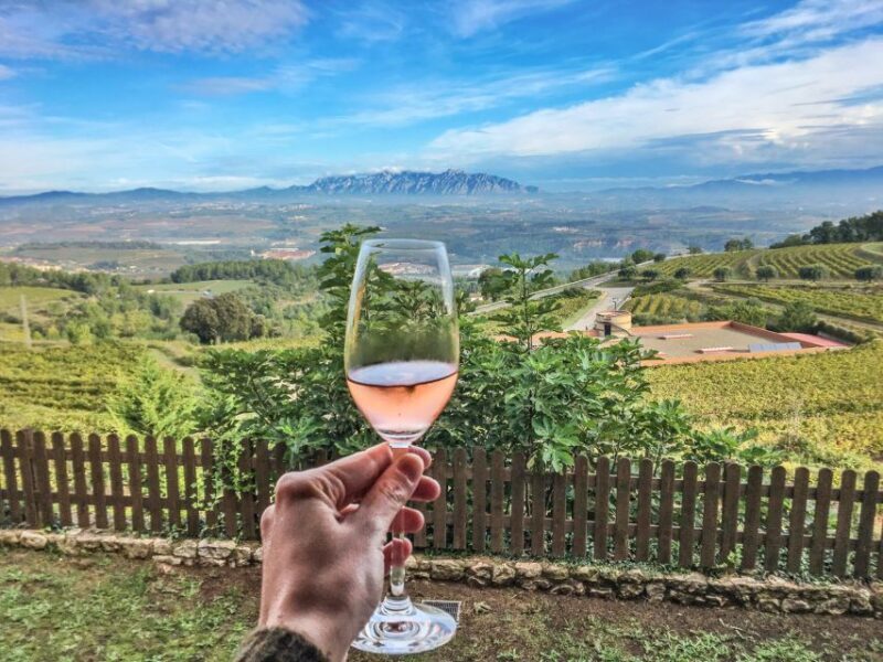 Montserrat Private Day Trip & Codorniu Cava Cellar Tasting - Key Points  