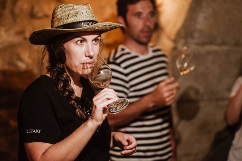 Montserrat Private Day Trip & Codorniu Cava Cellar Tasting - Montserrat: A Spiritual and Scenic Marvel