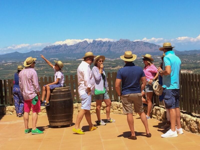 Montserrat Private Day Trip & Codorniu Cava Cellar Tasting - Flexibility and Personalization