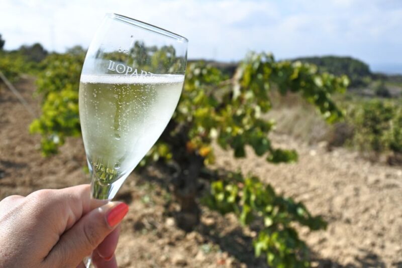 Montserrat Private Day Trip & Codorniu Cava Cellar Tasting - What Do Reviews Say?