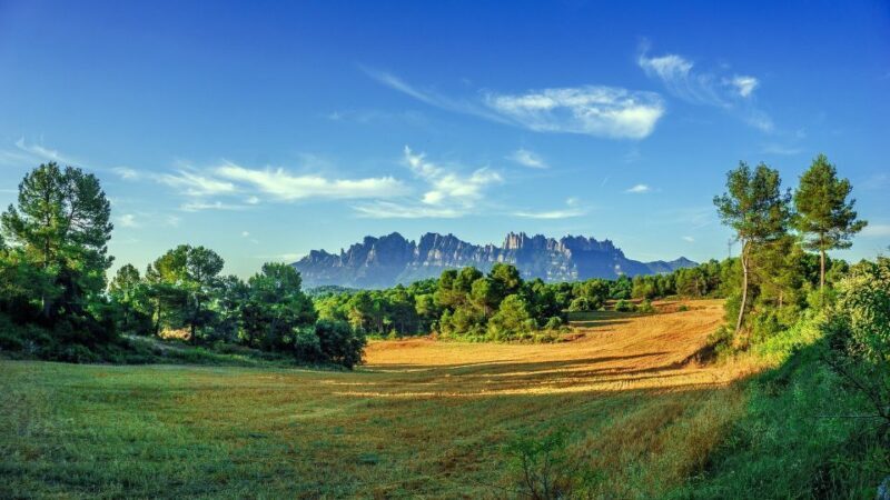 Montserrat: Private Half-Day Tour from Barcelona - Practical Details and What to Expect