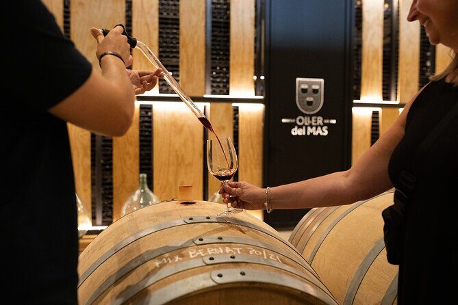 Montserrat Tour with Winery Lunch & Exclusive Cellar Experience - An In-Depth Look at the Itinerary