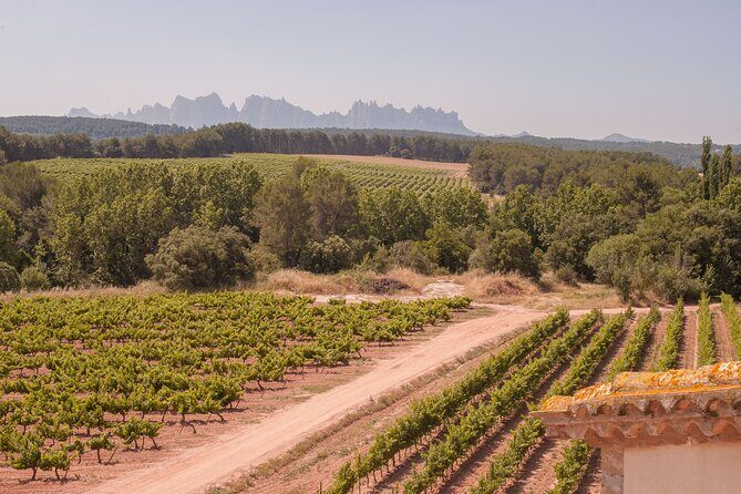 Montserrat with Black Madonna, Winery Tour & Lunch | Private Tour - FAQ