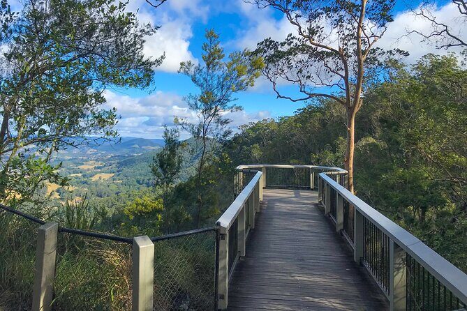 Montville, Maleny and Sunshine Coast Hinterland Tour with Lunch - Why Choose This Tour?  