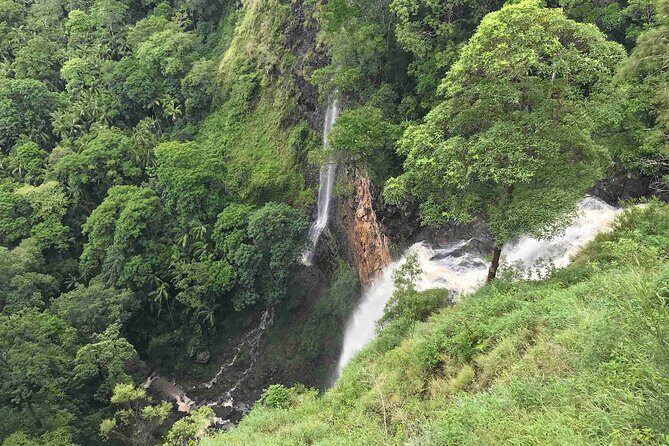 Montville, Maleny and Sunshine Coast Hinterland Tour with Lunch - Transportation and Group Size  