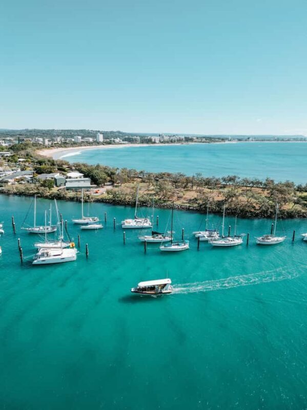 Mooloolaba: Adventure Rafting Turtle Tour - The Value of the Experience