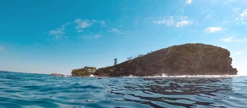 Mooloolaba: Snorkel with Turtles Mudjimba Island - Practical Details and Tips