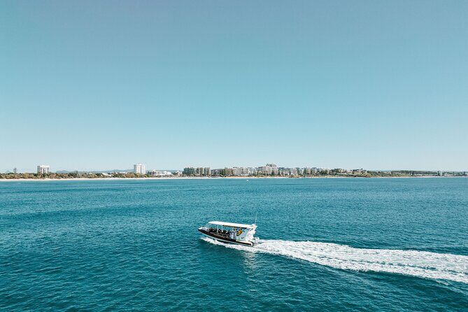 Mooloolaba Whale Watching  Small Group Tour - The Value Proposition