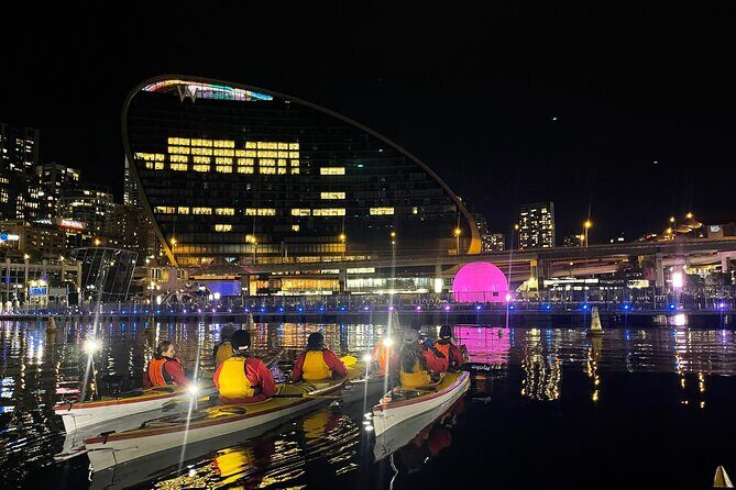 Moonlight Sea Kayaking Experience in Sydney's VIVID Festival - The Sum Up: Who Should Consider This Tour?