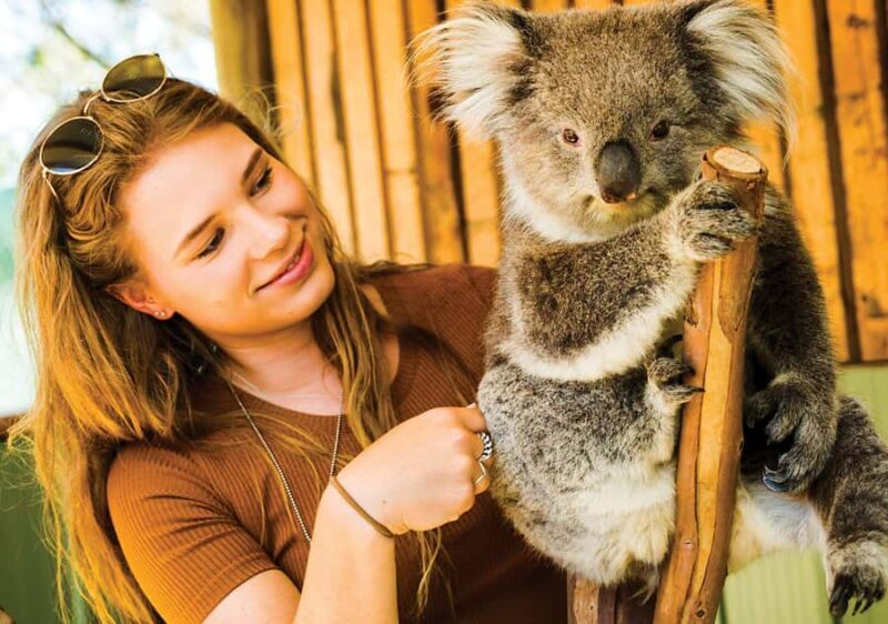 Moonlit Sanctuary Conservation Park Entry Ticket - Exploring the Sanctuary: What to Expect