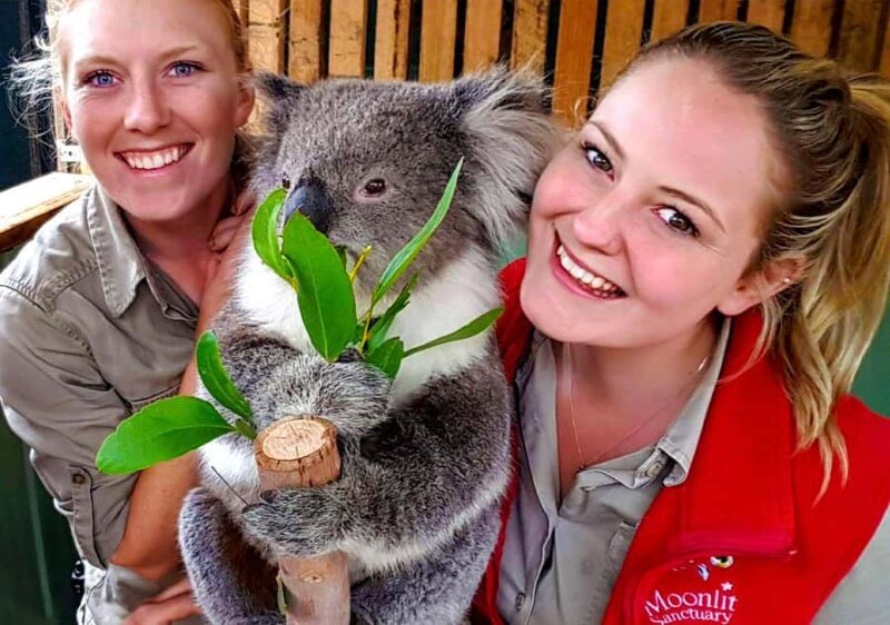 Moonlit Sanctuary Conservation Park Entry Ticket - Why Youll Love Visiting Moonlit Sanctuary