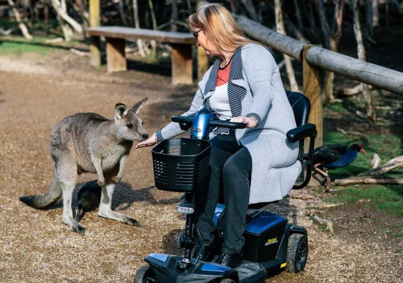 Moonlit Sanctuary Conservation Park Entry Ticket - Final Thoughts