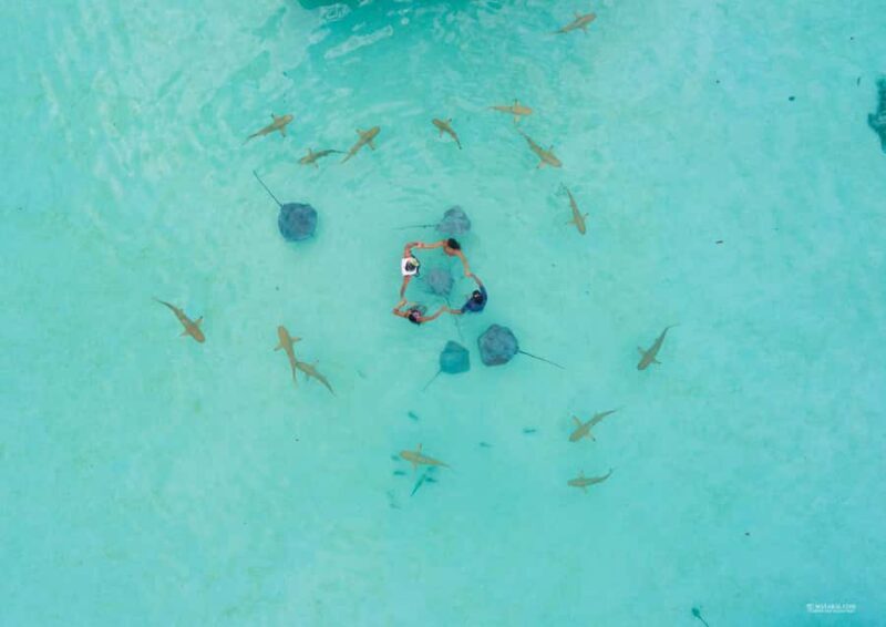 MOOREA 6H PRIVATE BOAT TOURS SNORKELING & LUNCH - Exploring the Moorea 6-Hour Private Boat Tour with Snorkeling & Lunch