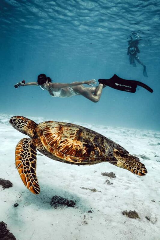 MOOREA 6H PRIVATE BOAT TOURS SNORKELING & LUNCH - Practical Details & Tips