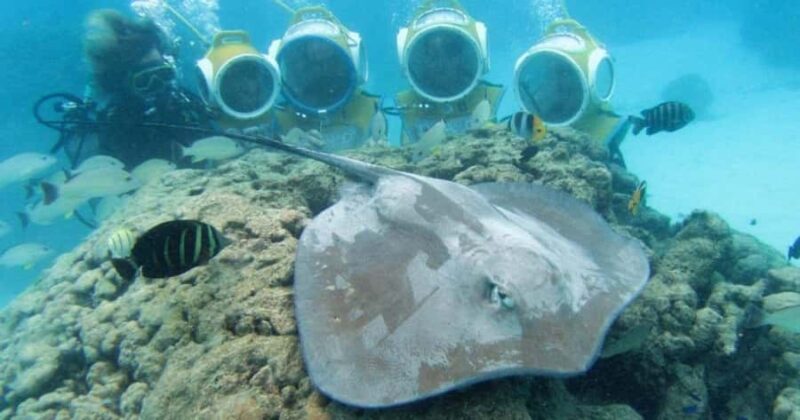 Moorea: Aquablue Helmet Underwater Walking Experience - What to Expect During the Tour