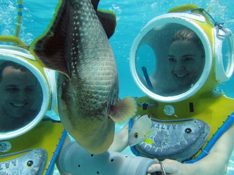 Moorea: Aquablue Helmet Underwater Walking Experience - Practical Details and Considerations