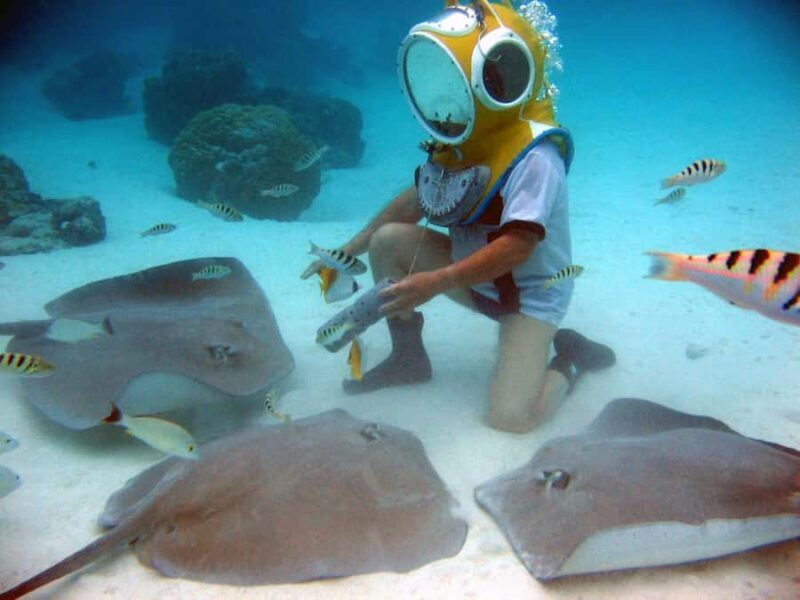 Moorea: Aquablue Helmet Underwater Walking Experience - Who Is This Tour Best For?