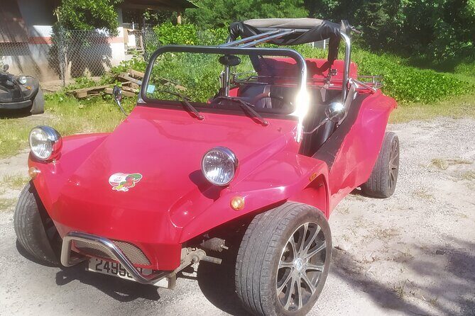 Moorea Buggy Rental - An In-Depth Look at Moorea Buggy Rental