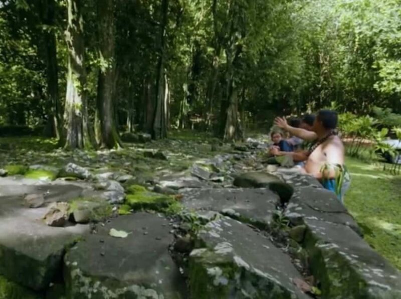 Moorea Cruise Ships 4x4, Belvedere Magic mount PRIVATE Tours - Final Thoughts