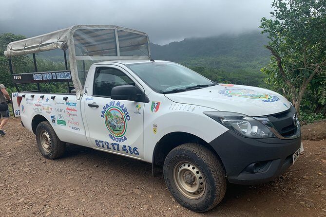 Moorea Cruise Ships: 4x4, Belvedere, Pineapple, & Magic Mountain - What the Tour Covers and Why It Matters