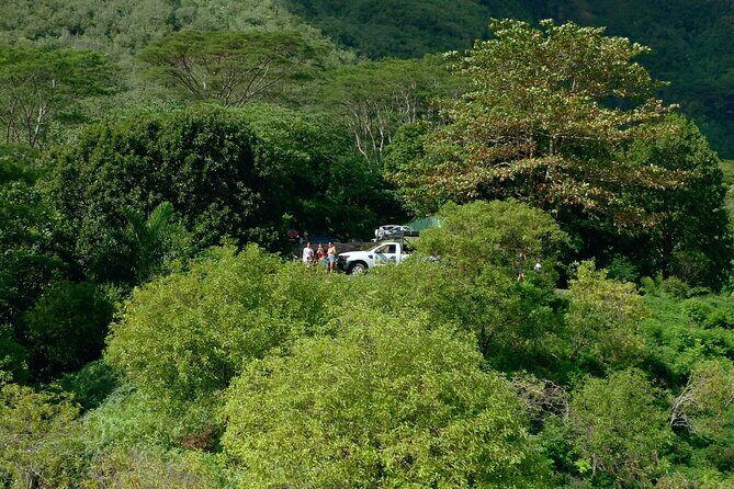 Moorea Cruise Ships: 4x4, Belvedere,Magic Mountain pineaple - Final Thoughts