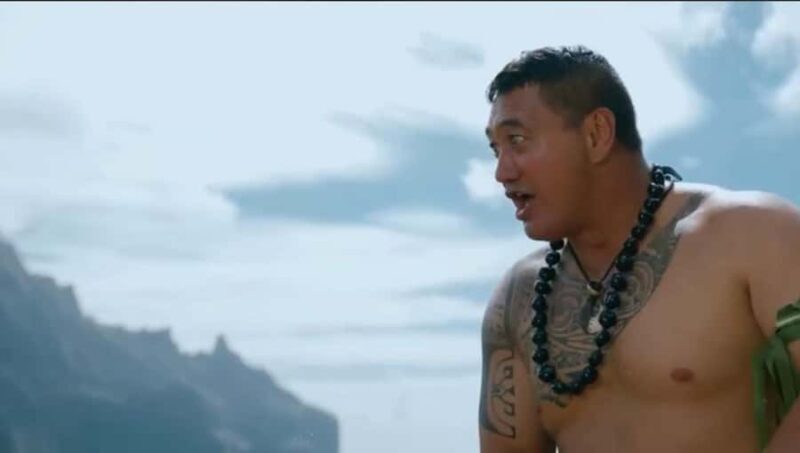 Moorea Cruise Ships: 4x4, Belvedere,Magic Mountain pineaple - Authentic Experiences from Reviewers