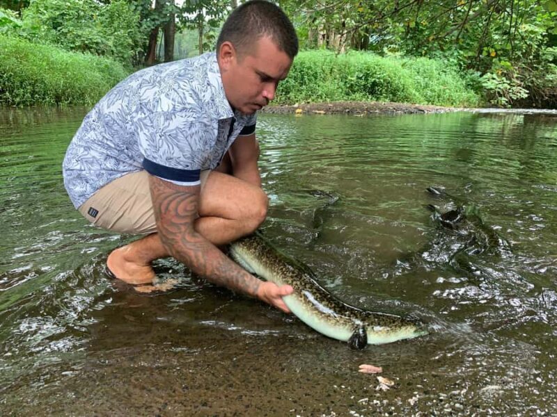 Moorea Cruise Ships: 4x4, Belvedere,Magic Mountain pineaple - FAQ