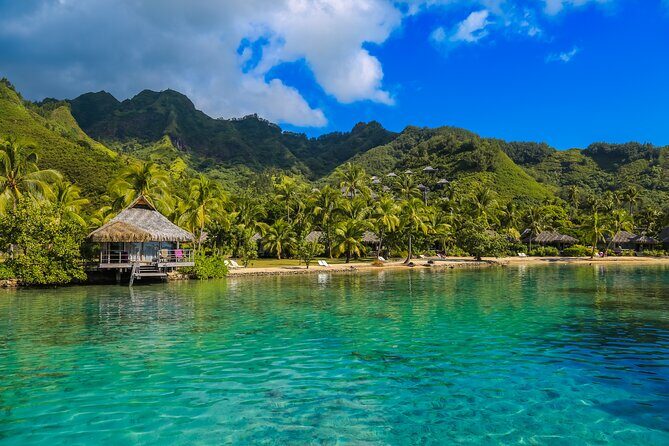 Moorea Full-Day Hiking Experience  Private Shore Tour - Key Points