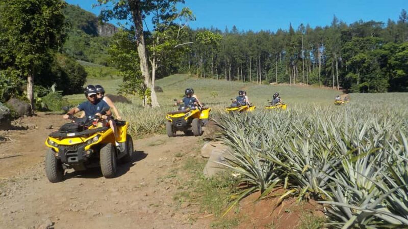 Mo'orea: Guided ATV Nature Tour - The Experience and Practical Details